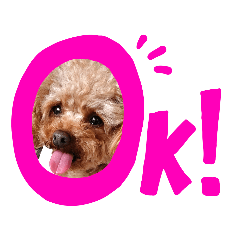 atta korea_20230629200326 – LINE貼圖 | LINE STORE