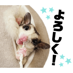memememe_20230629211332 – LINE貼圖 | LINE STORE
