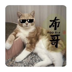Ruo yu_20230703141818 – LINE stickers | LINE STORE