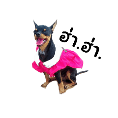 Love Lisa_20230705171703 – LINE stickers | LINE STORE