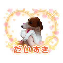JRT.Love_20230707235614 – LINE stickers | LINE STORE