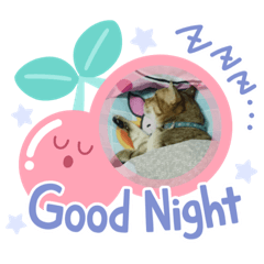 Snpc_20230711202923 – LINE貼圖 | LINE STORE