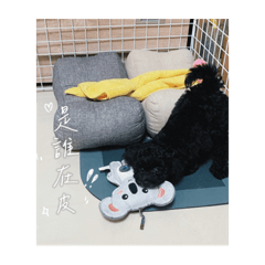 Boniu_20230714012644 - LINE スタンプ | LINE STORE