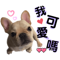 Mia Lin_20230716190458 - LINE スタンプ | LINE STORE