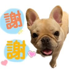 Mia Lin_20230717133949 - LINE スタンプ | LINE STORE