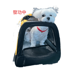 Edward_20230717231606 – LINE stickers | LINE STORE