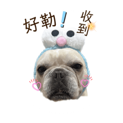 Kaiyu_20230720161118 – LINE stickers | LINE STORE