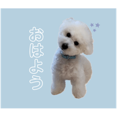 saki_20230721162037 – Stickers LINE | LINE STORE