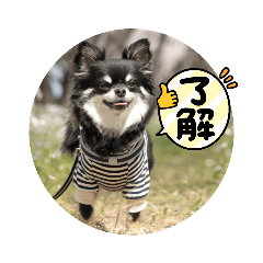chaco.2020_20230725150505 – LINE stickers | LINE STORE