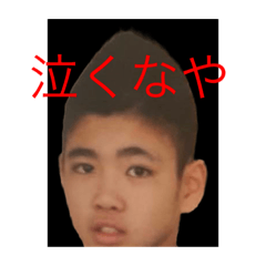 take/kota._20230728094250 – LINE stickers | LINE STORE
