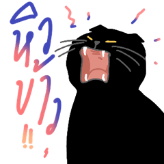 Tuna the meme cat (1) – LINE stickers | LINE STORE