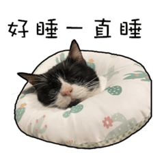Chloe Y. – LINE stickers | LINE STORE