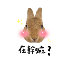 Ruuu_20230804234952 - LINE スタンプ | LINE STORE