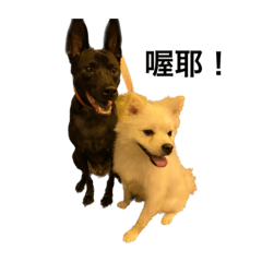 Adi_20230806215809 – LINE stickers | LINE STORE