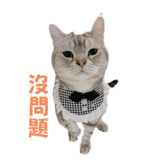 meiii_20230807224749 – LINE stickers | LINE STORE