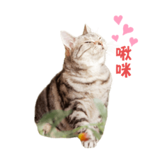 Joylin_20230809044227 – LINE stickers | LINE STORE