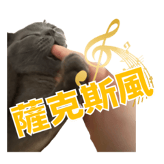 Dustin Cat 2.0 – LINE貼圖 | LINE STORE