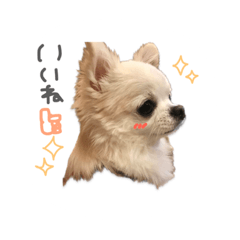 saki_20230811195404 – LINE stickers | LINE STORE