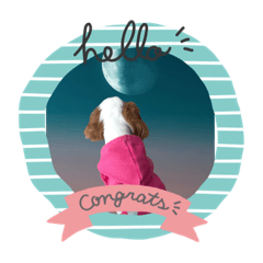 nene stamp_20230816000613 – LINE貼圖 | LINE STORE