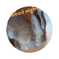 cholly_20230816130646 - LINE スタンプ | LINE STORE