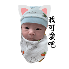 Goanna_0701 – LINE stickers | LINE STORE