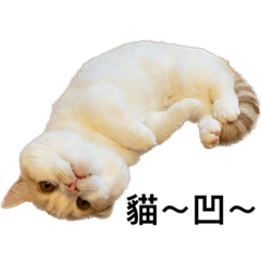 Kuma Universe_Episode 01 – LINE stickers | LINE STORE