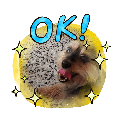 Tala desu - LINE スタンプ | LINE STORE