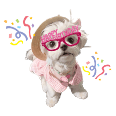 Minji the tiny dog (3D Cartoon version) – สติกเกอร์ LINE | LINE STORE