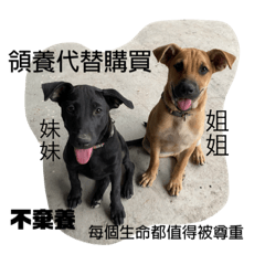 mico_20230820224516 – LINE stickers | LINE STORE