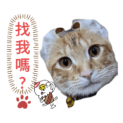 WAN_20230820164623 – LINE stickers | LINE STORE