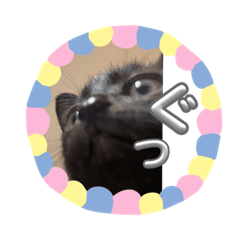 MEGUMI MASAKO_20230825130615 – LINE stickers | LINE STORE