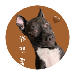 Betty_20230825221024 – LINE stickers | LINE STORE