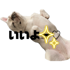 maeco_20230826202936 - Stiker LINE | LINE STORE