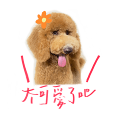 Q bae_20230828130232 - Stiker LINE | LINE STORE