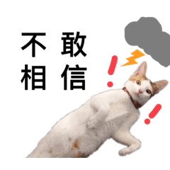 Hsin Yu,Chung_20230828171005 - LINE スタンプ | LINE STORE