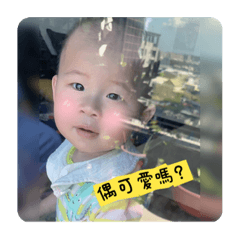 Sheta_20230830141540 - LINE スタンプ | LINE STORE