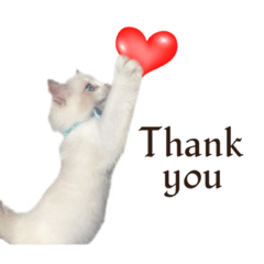 Noa☆ - LINE スタンプ | LINE STORE