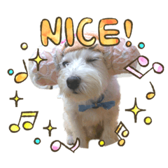 Moco life_20230831002357 – สติกเกอร์ LINE | LINE STORE