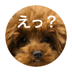 kribo_20230831090657 - Stiker LINE | LINE STORE