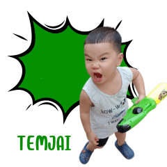Temjai V.1 – LINE stickers | LINE STORE