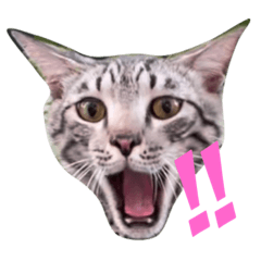 BAnBAn FAce OFf – LINE貼圖 | LINE STORE