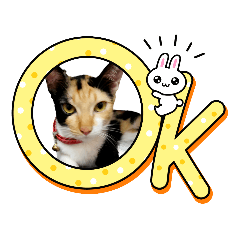 LuckyCat&Dog | Yabe-LINE貼圖代購 | 台灣No.1，最便宜高效率的代購網