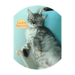 Monni_20230907103353 – LINE stickers | LINE STORE