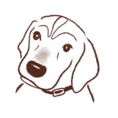 DATO - LINE スタンプ | LINE STORE