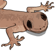 Sassy Lizard – LINE stickers | LINE STORE