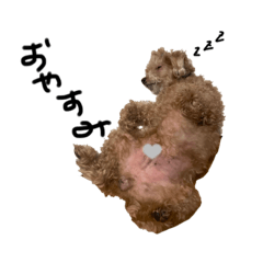 chanmari_20230908163328 – LINE stickers | LINE STORE