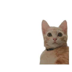 aaaaaa_20230910224443 - Stiker LINE | LINE STORE