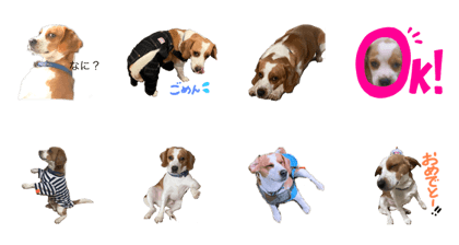 【スタンプ無料GET!】 りい1｜ Stampick! （スタンピック）