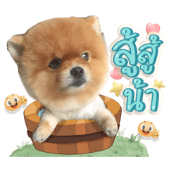 Pikapom Family 1 – สติกเกอร์ LINE | LINE STORE