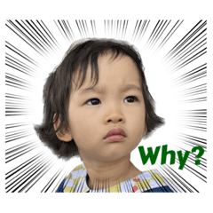 Ferrin – LINE stickers | LINE STORE